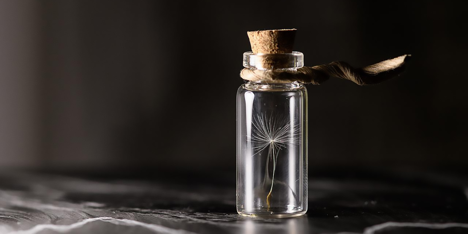 Strategies for Preserving Your Wealth - Fincier