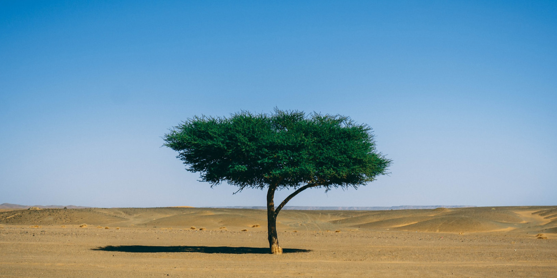 Characteristics of Defensive Stocks and How To Pick One - Fincier