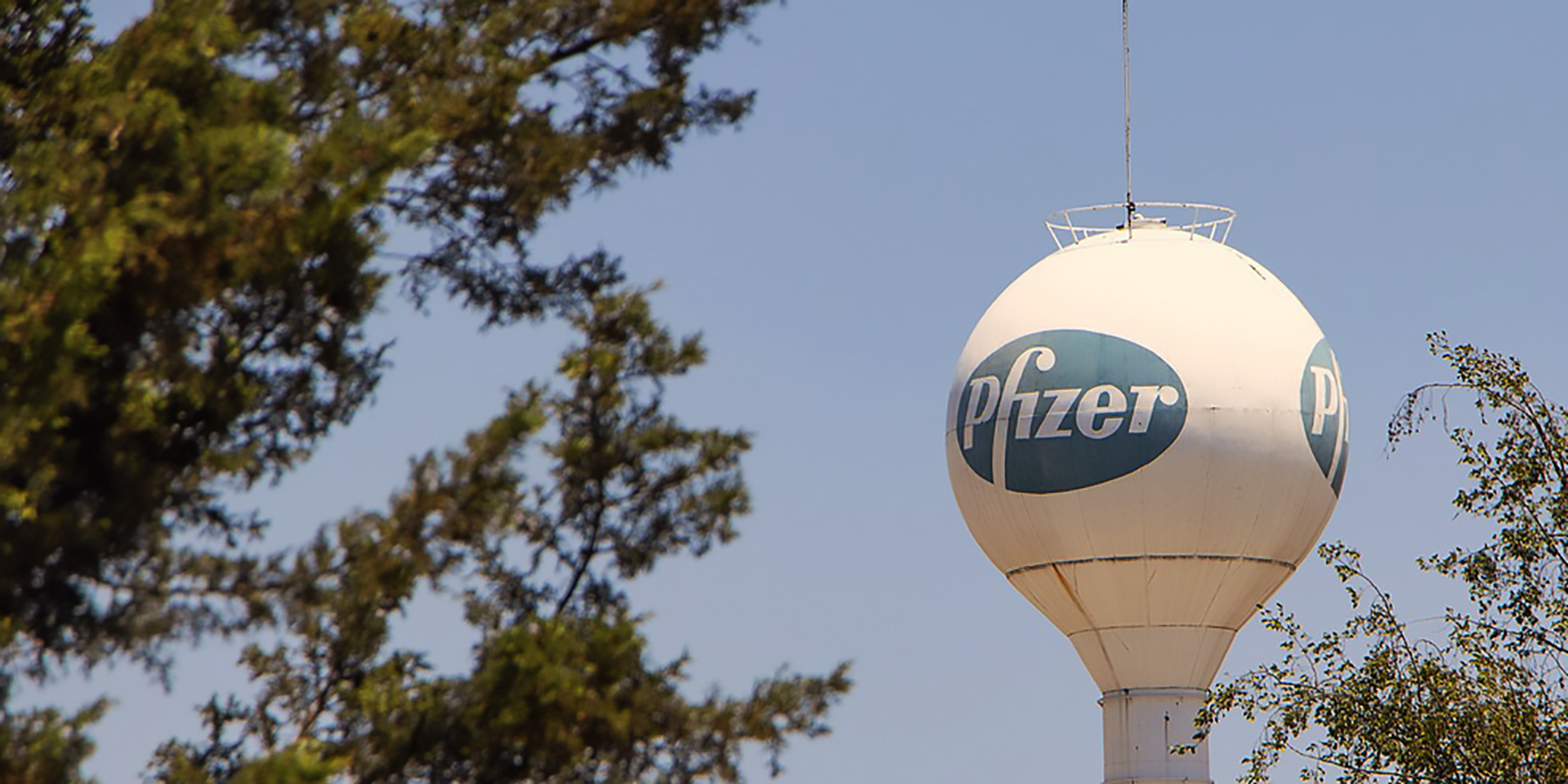 Pfizer Stock: Advantages and Disadvantages - Fincier